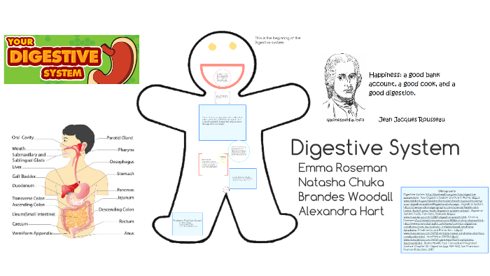 Body Systems: by emma roseman on Prezi