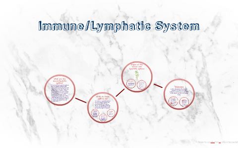 Immune/Lymphatic System by Miranda Miranda on Prezi