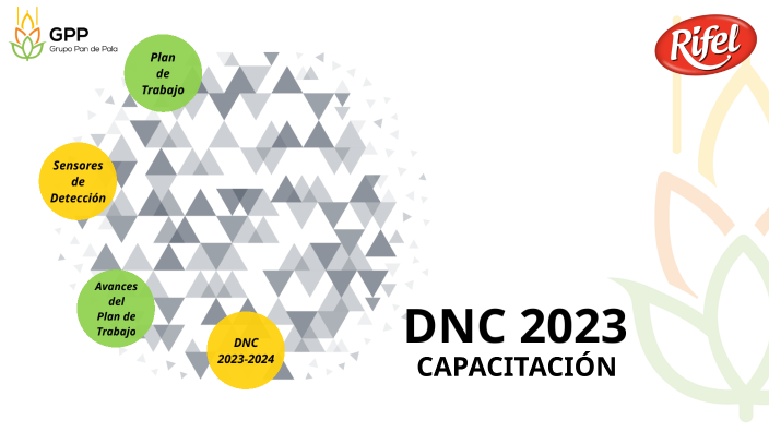 DNC 2023 by CAPACITACION RIFEL on Prezi