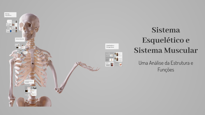 Sistema Esquelético e Sistema Muscular by ana laura vicari on Prezi