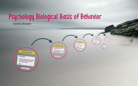 Psychology Biological Bases of Behavior by Sally Purple on Prezi