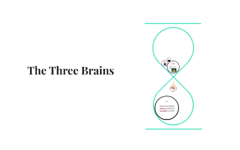 The Three Brains by caylenne guzman on Prezi