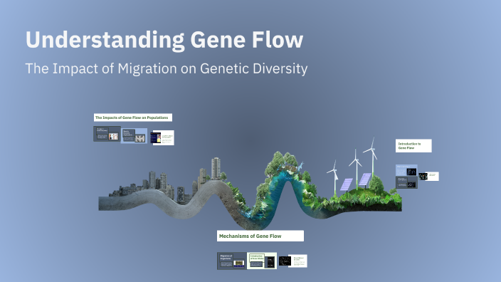 Understanding Gene Flow by Isaac Assaf on Prezi