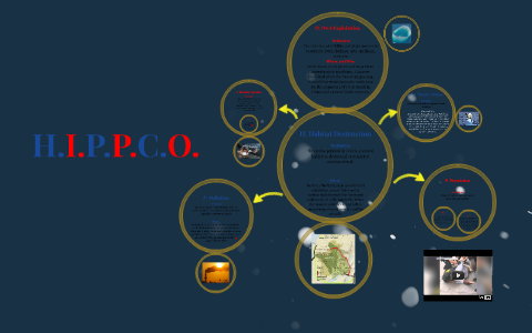 HIPPCO by Jawan H on Prezi