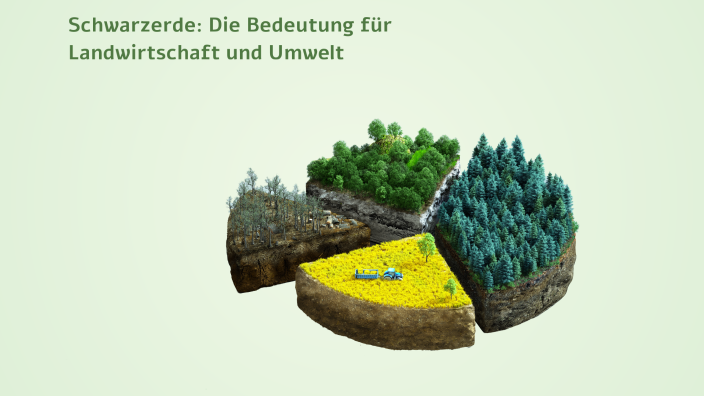 Schwarzerde: Die Bedeutung für Landwirtschaft und Umwelt by Jonas Krebs ...