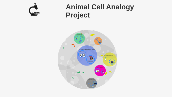 Animal Cell Analogy Project by Kiera Charpentier on Prezi