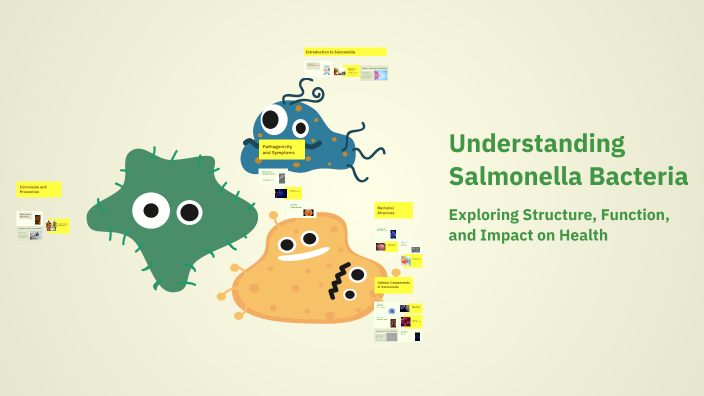 Understanding Salmonella Bacteria by Hana Cain on Prezi