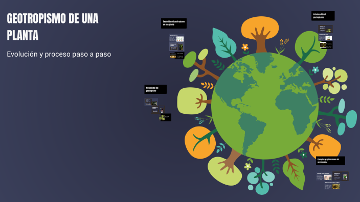 GEOTROPISMO DE UNA PLANTA by Concepción Busto Rodríguez on Prezi
