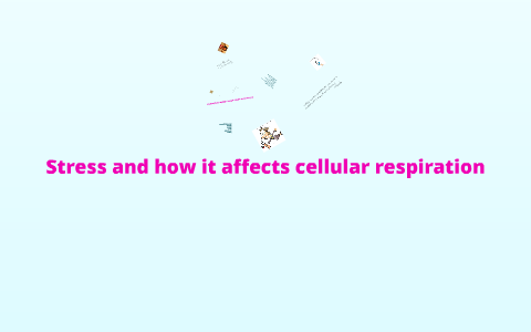 Cellular Respiration by Amy Scritchfield on Prezi