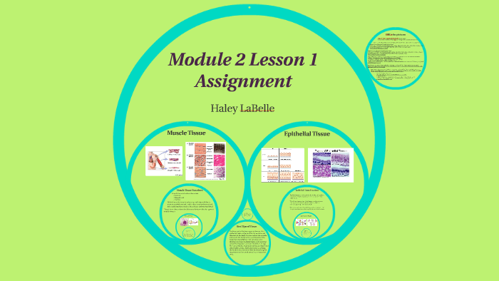 Module 2 Lesson 1 Assignment by Haley LaBelle on Prezi