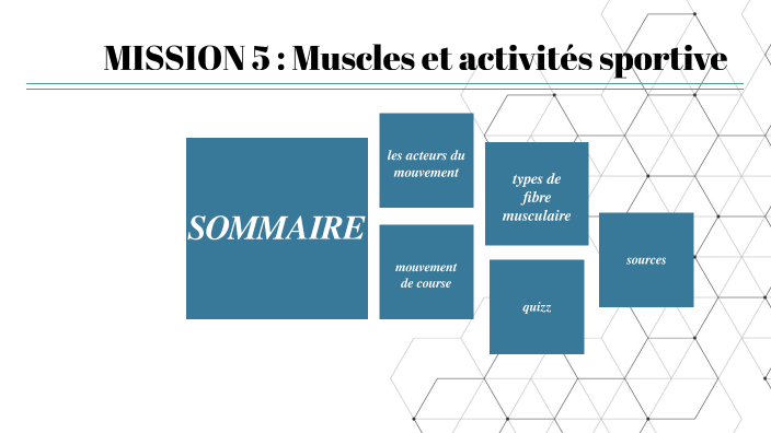 muscles by Eline Pellé on Prezi