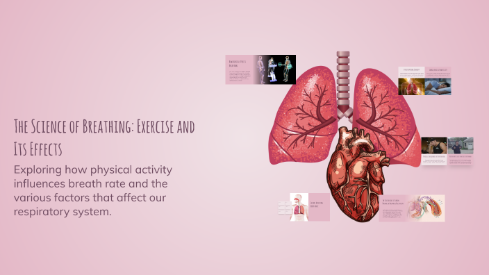 The Science of Breathing: Exercise and Its Effects by Serafina Dibiaso ...