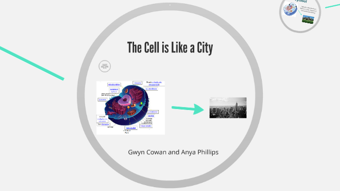 Cell is a City Analogies by Gwyn Cowan