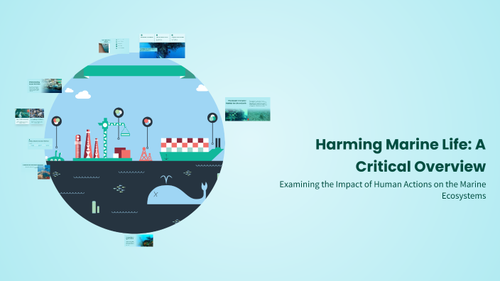 Harming Marine Life: A Critical Overview by Jared SUNDEEP on Prezi