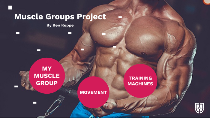 Muscle Group Project by Benjamin Koppe [STUDENT] on Prezi