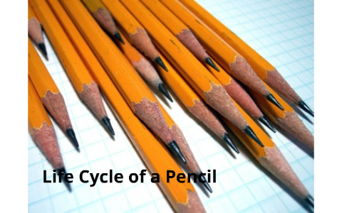 Life Cycle of a Pencil by Stephanie Ramon on Prezi