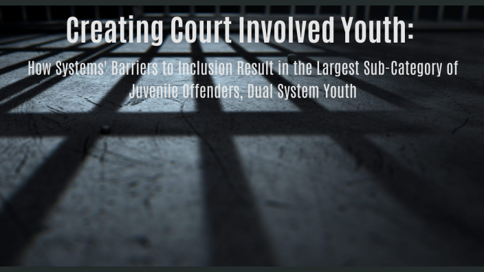 Dual System Youth by alexandra lindell on Prezi