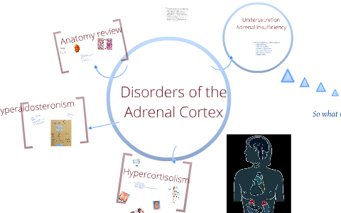 Disorders of the Adrenal Cortex by H M on Prezi