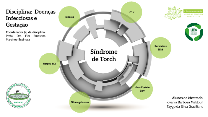 Síndrome de Torch - Doenças Infecciosas e Gestação by Taygo da Silva ...