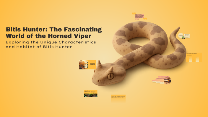 Bitis Hunter: The Fascinating World of the Horned Viper by Đăng Nghĩa ...