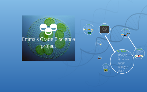 Grade 6 science project by Emma magis