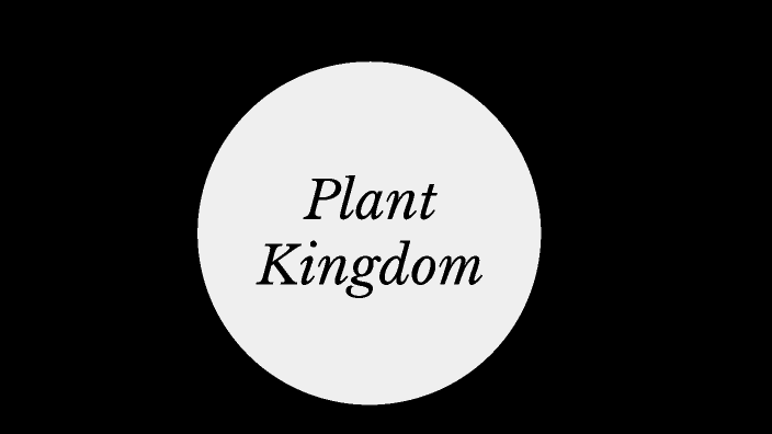 plant kingdom concept map by Bhoomi Chhajer on Prezi