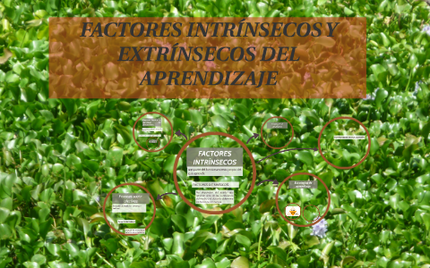 FACTORES INTRÍNSECOS Y EXTRÍNSECOS DEL APRENDIZAJE by liliana flores on Prezi