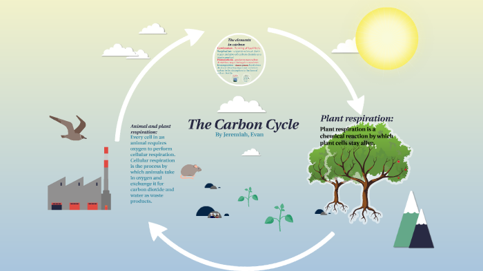 The Carbon Cycle by Jeremiah Penrose on Prezi