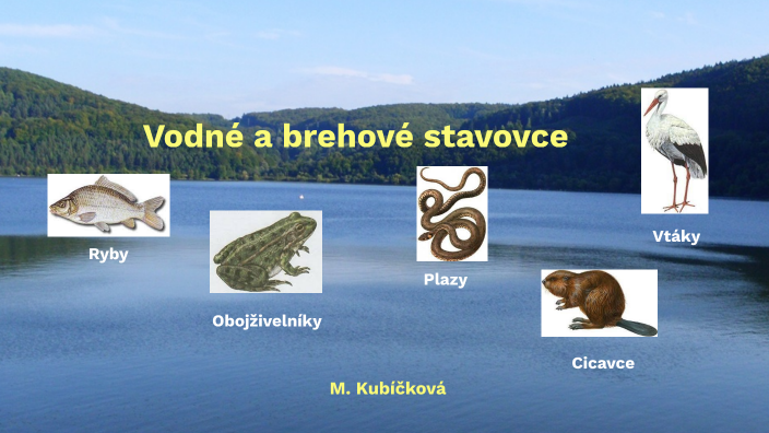 Vodné a brehové stavovce (PaedDr. Kubíčková) video by Marketa Kubickova ...