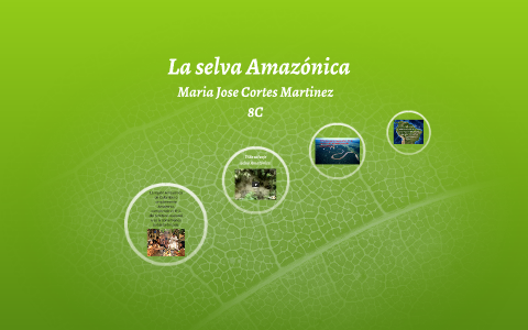 La selva Amazónica by Monica Martinez on Prezi