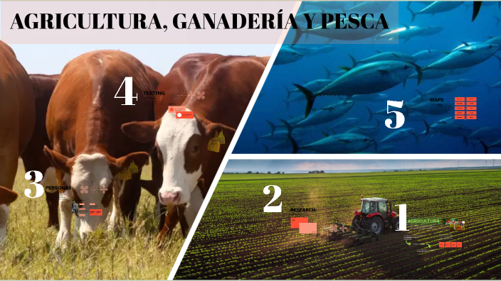 agricultura, ganadería y pesca by Estuardo Sanchez on Prezi
