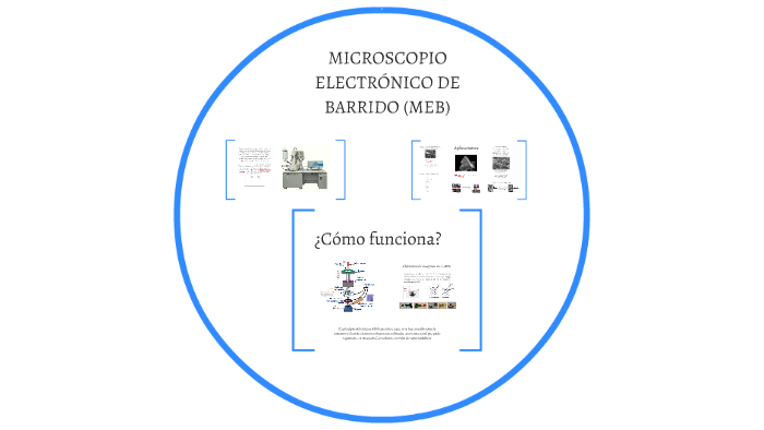 Microscopio Electrónico de Barrido (MEB) by Fabian David Espinosa Silva ...