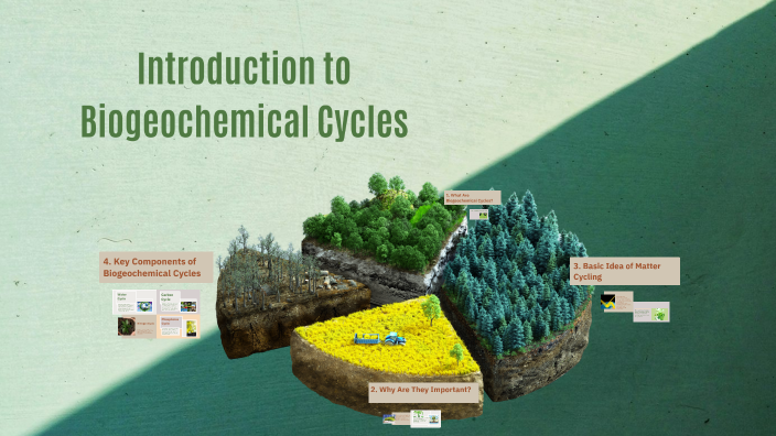 Introduction to Biogeochemical Cycles by Lily Cibrián on Prezi