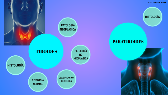TIROIDES Y PARATIROIDES by Irina Tejedor Soria on Prezi