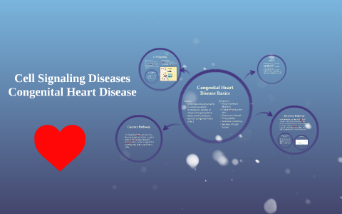 Cell Signaling Diseases by Meghan Palmer