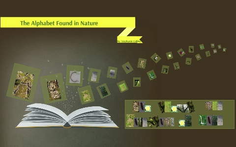 The Alphabet Found in Nature by Stephanie Collins on Prezi