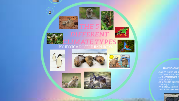 THE 5 DIFFERENT CLIMATE TYPES by Jessica Humphreys on Prezi