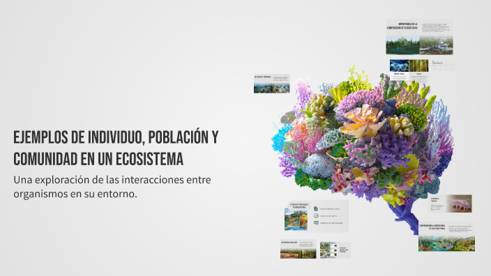 Ejemplos de Individuo, Población y Comunidad en un Ecosistema by ...