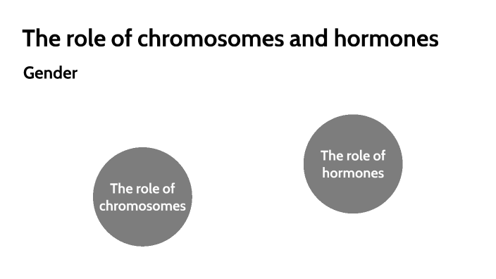 The role of chromosomes and hormones by Maya Potishman on Prezi