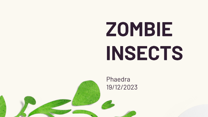 Fact-Based Article Analysis by phaedra yurkiw on Prezi