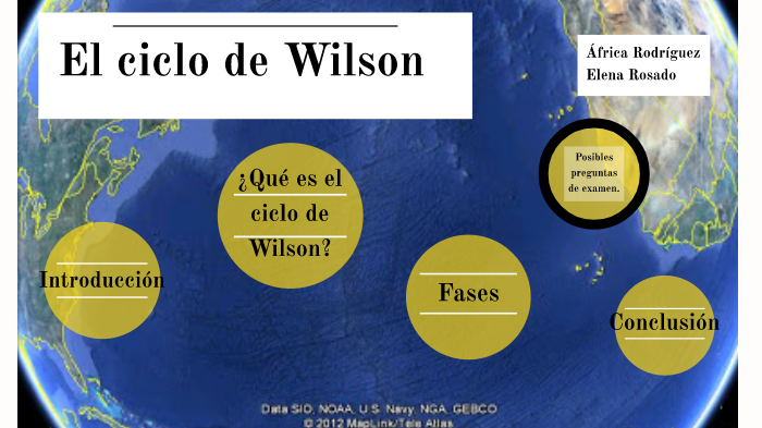 ciclo de wilson by Africa Rodriguez on Prezi