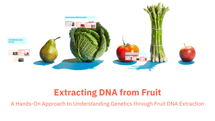 Extracting DNA from Fruit by Maria Cristina ANTONICELLI on Prezi