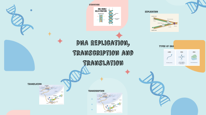 DNA by Mahsa Shams on Prezi