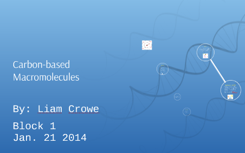 Carbon-based Macromolecules by Nick Swain on Prezi