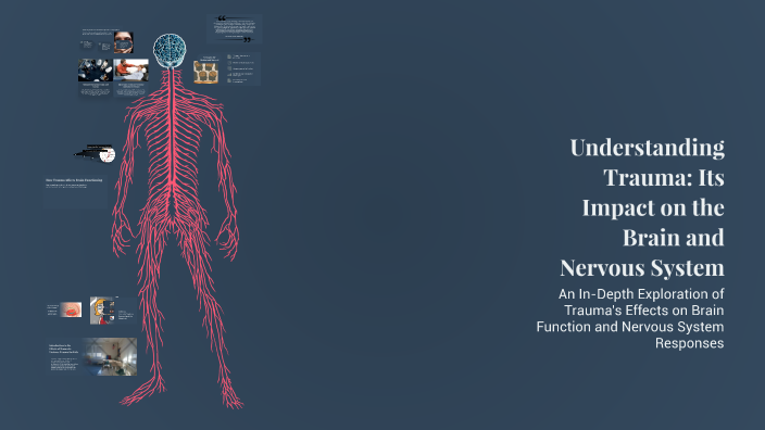 Understanding Trauma: Its Impact on the Brain and Nervous System by ...