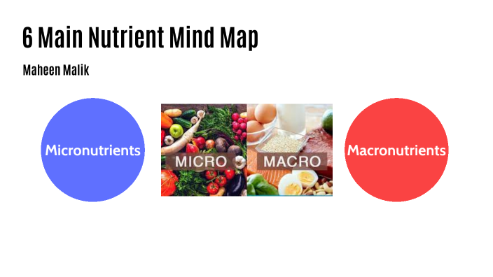 Nutrient Mind Map by Maheen Malik on Prezi