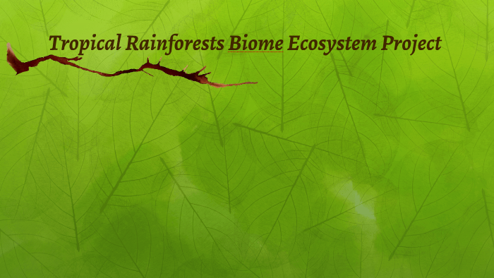 Tropical Rainforests Biome Ecosystem Project by Alejandro Romo on Prezi