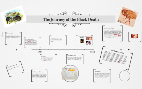 The Journey of the Black Death by Meli C on Prezi