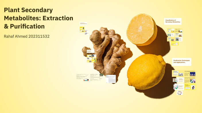 Plant Secondary Metabolites: Extraction & Purification by rahaf aly on ...