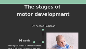 stages of development by Keegan Robinson on Prezi Design